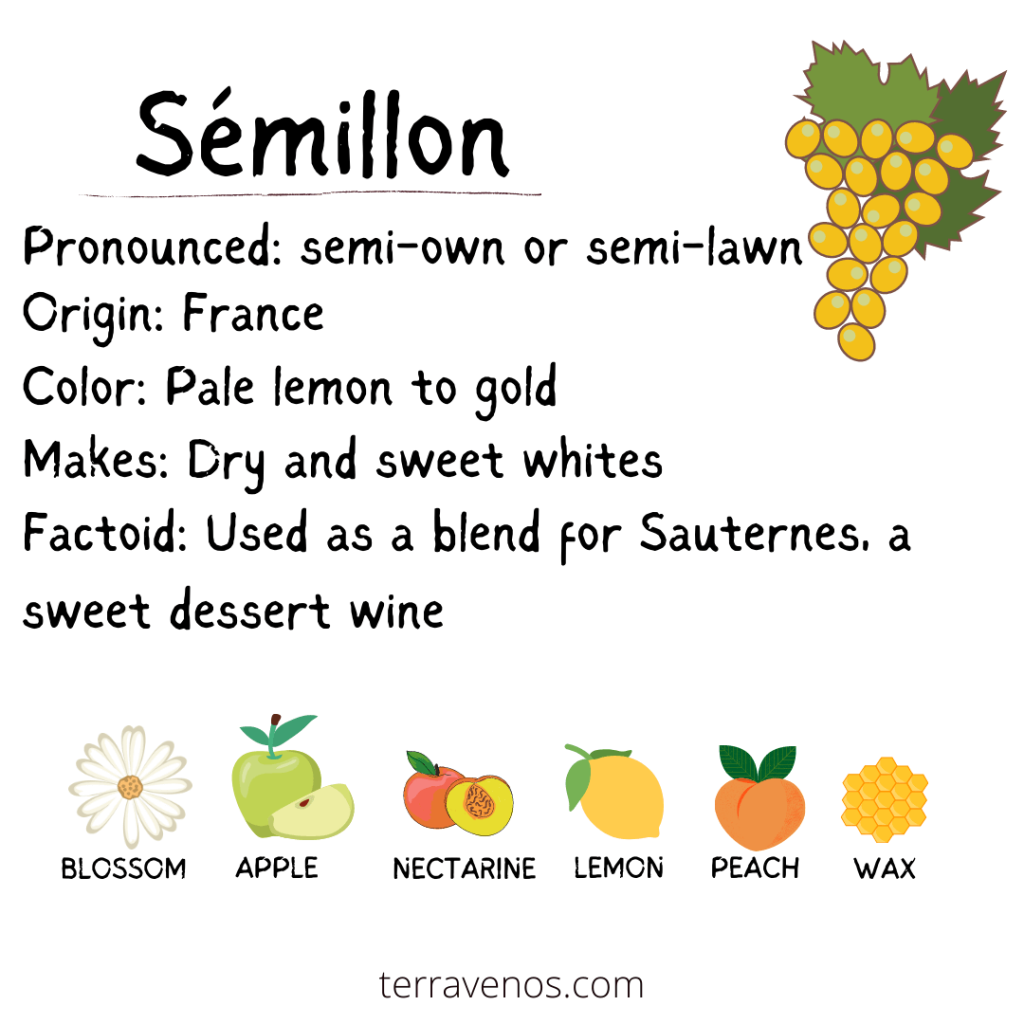 What Is Semillon?