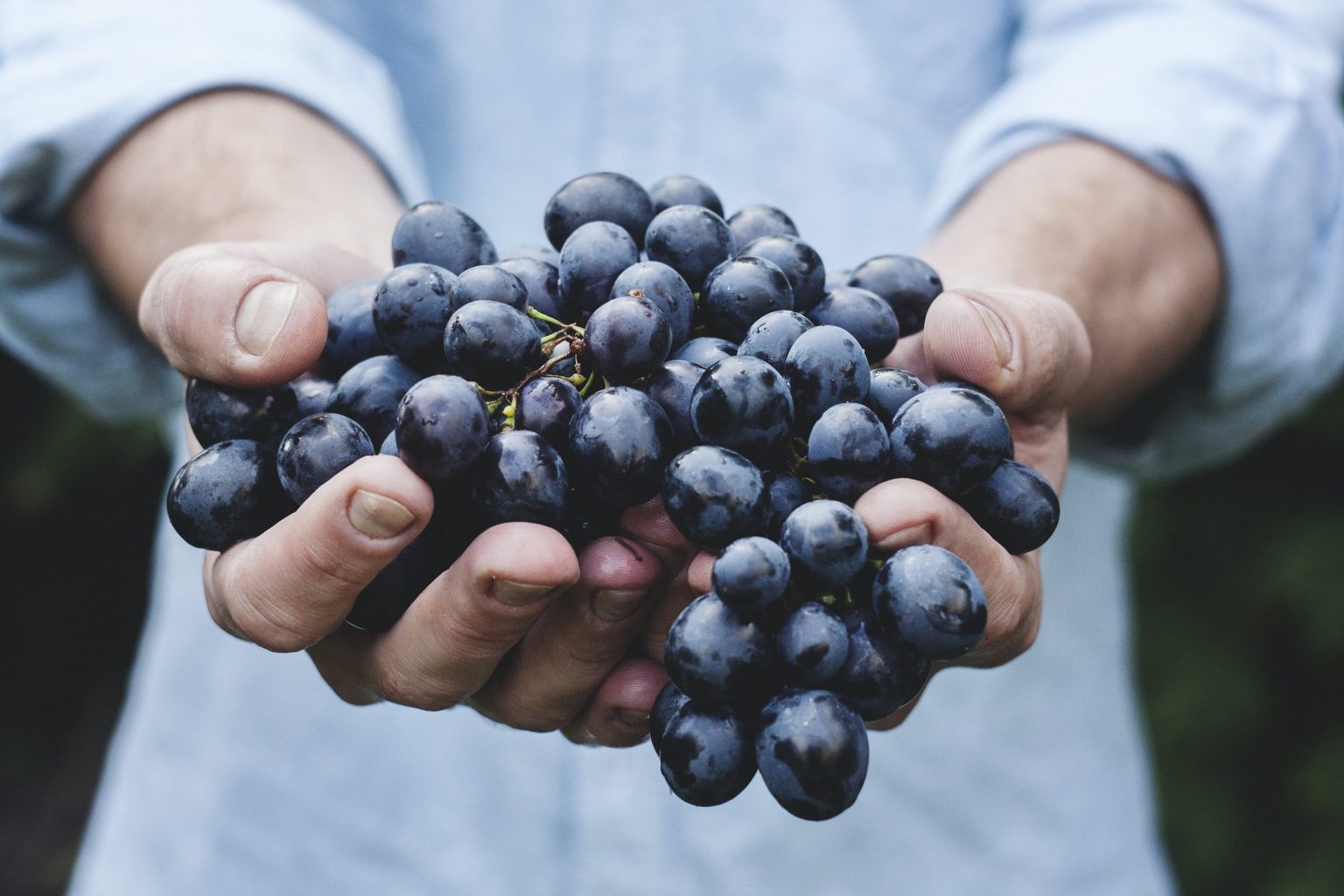 Wine Names A to Z