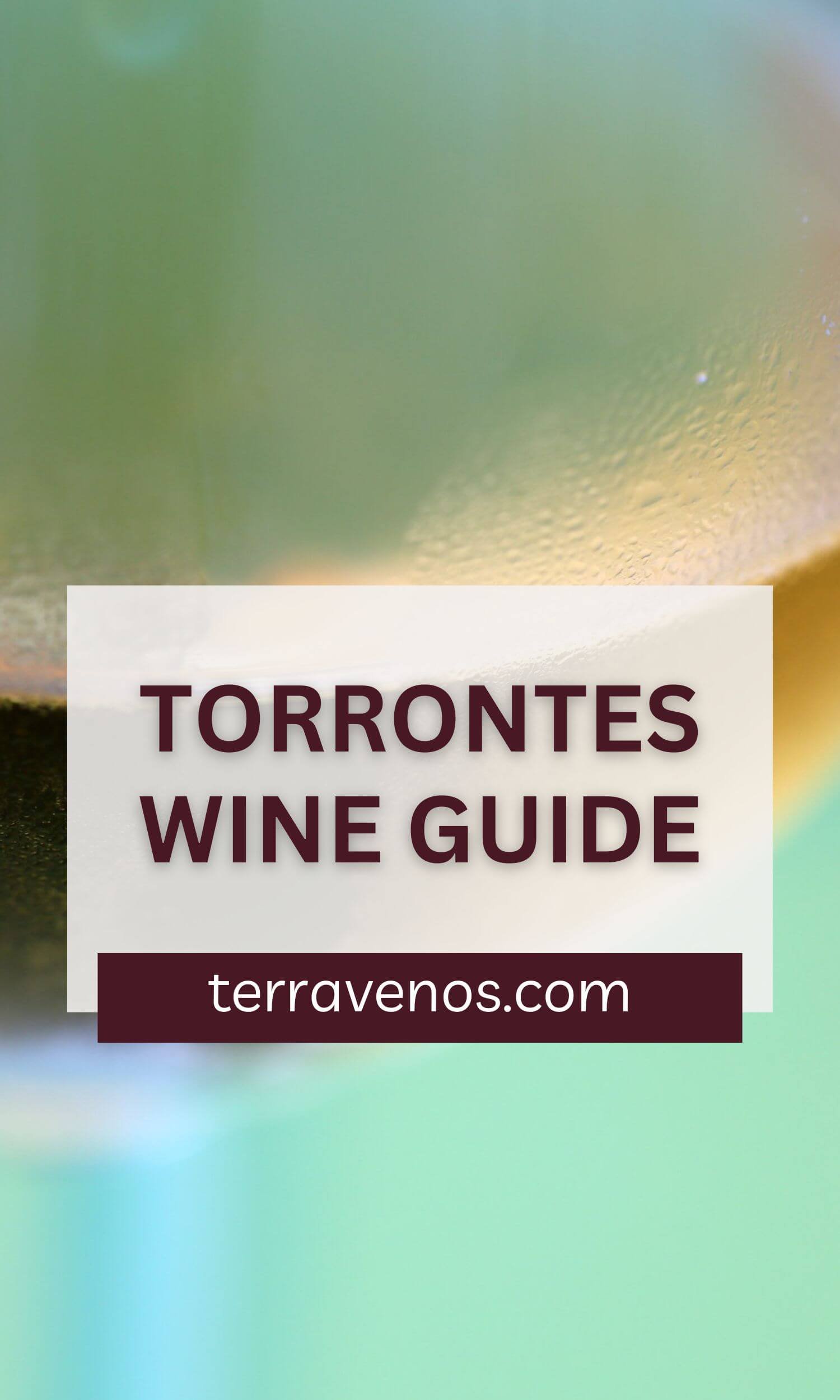torrontes-wine-guide