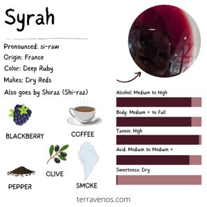 Syrah: A Comprehensive Guide