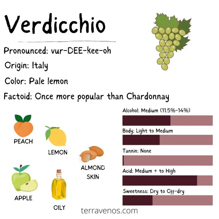 Verdicchio: A Comprehensive Guide